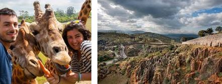 Parque de Cabárceno: ¿Qué ver? Horarios - Precios ¿Dónde Dormir?