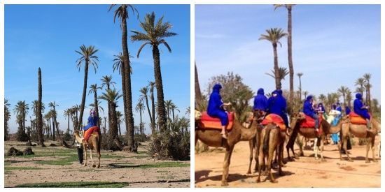 ¿Qué Ver en Marrakech? Top 10 Sitios que Visitar en 3 Días