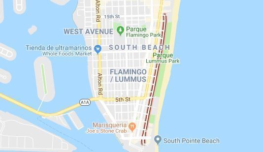 Qué Hacer en Miami en 3 Días: Excursiones, Tours y Actividades